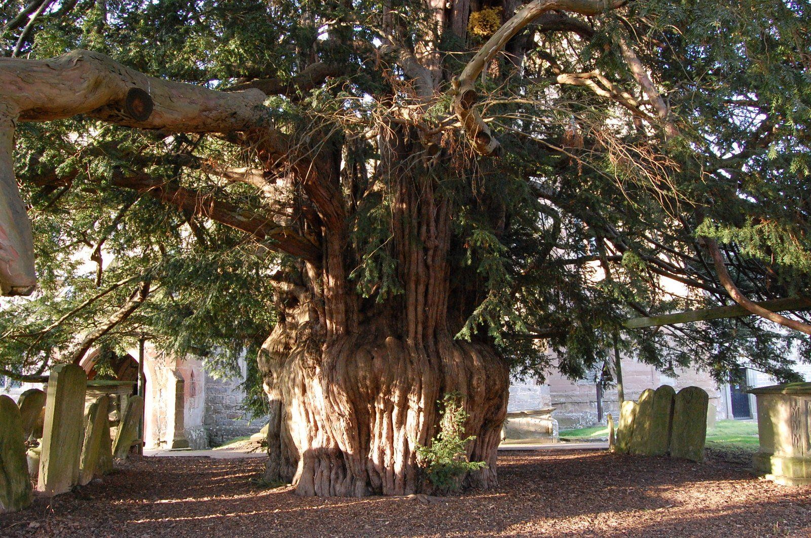 Explore the Mythology of Your Destination - Trip Scholars