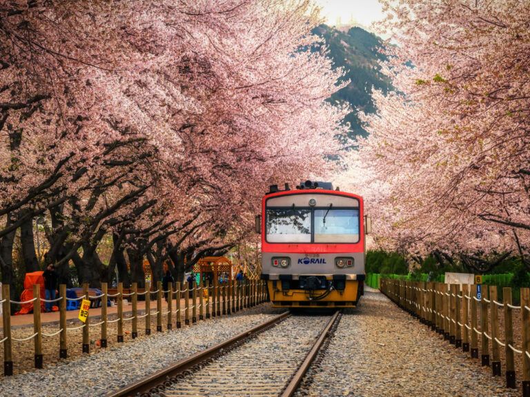 15 Essential Travel Skills: Learn to Travel Like a Pro