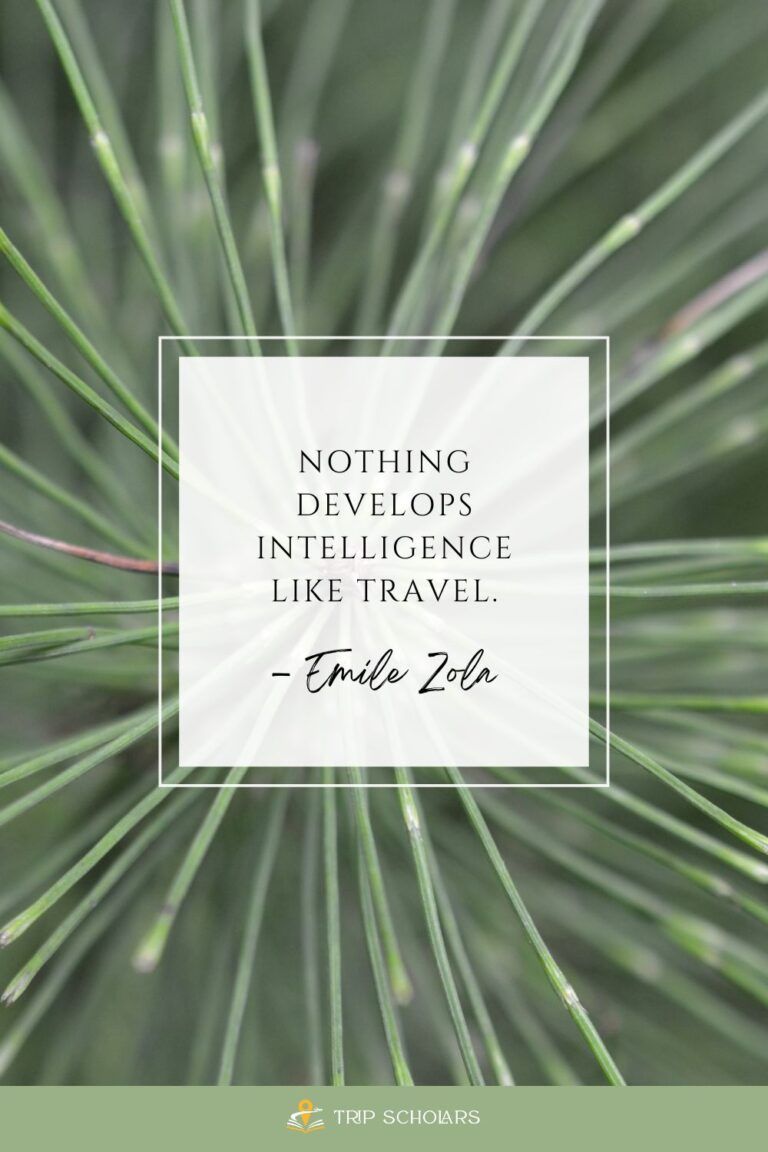 115+ Educational Travel Quotes to Inspire Learning and Traveling the World