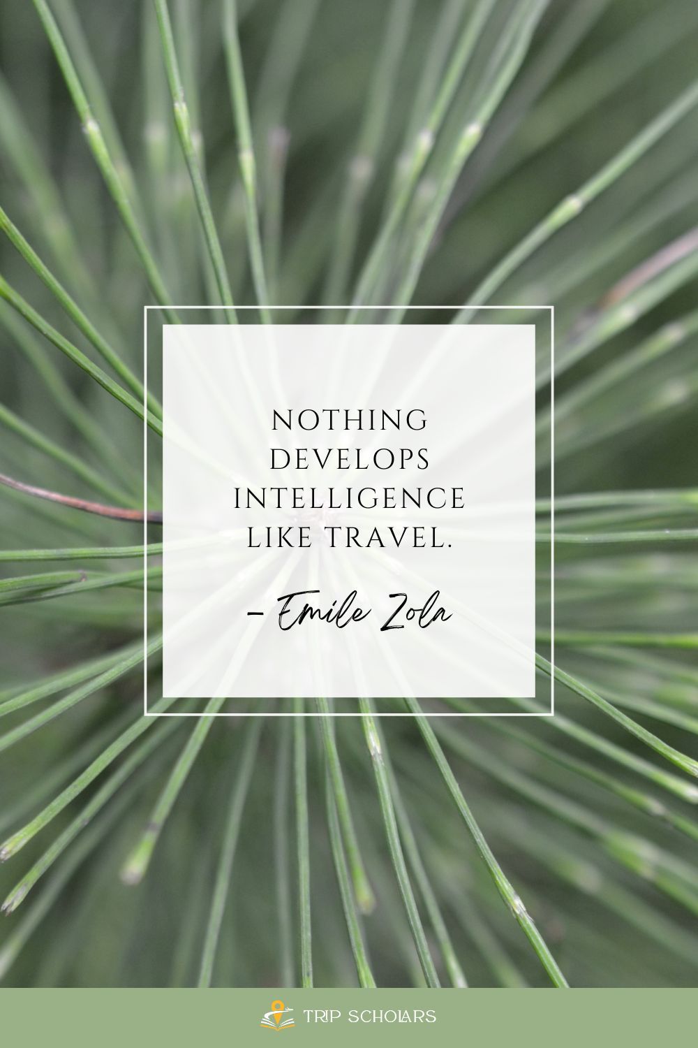 115+ Educational Travel Quotes to Inspire Learning and Traveling the World