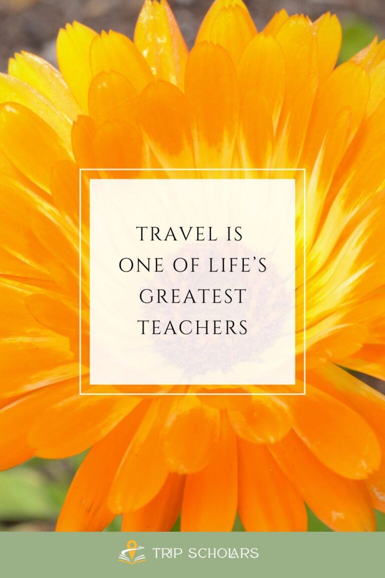 115+ Educational Travel Quotes to Inspire Learning and Traveling the World