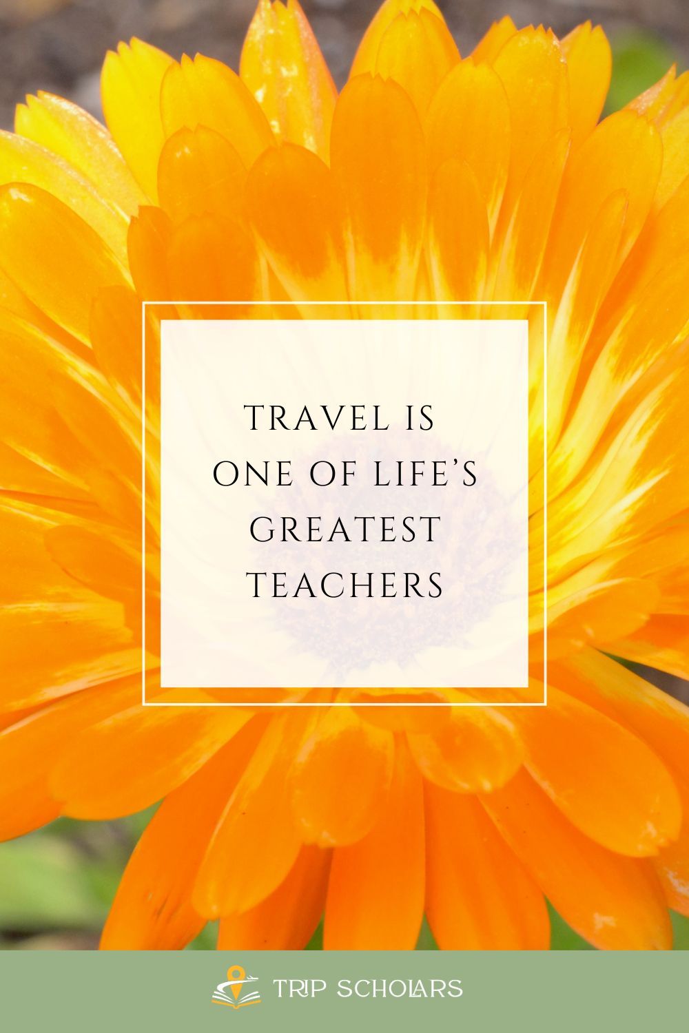 115+ Educational Travel Quotes to Inspire Learning and Traveling the World