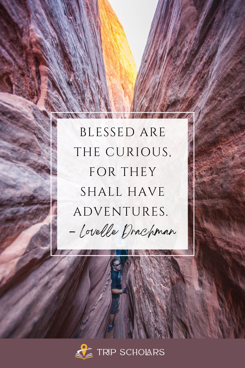 115+ Educational Travel Quotes to Inspire Learning and Traveling the World
