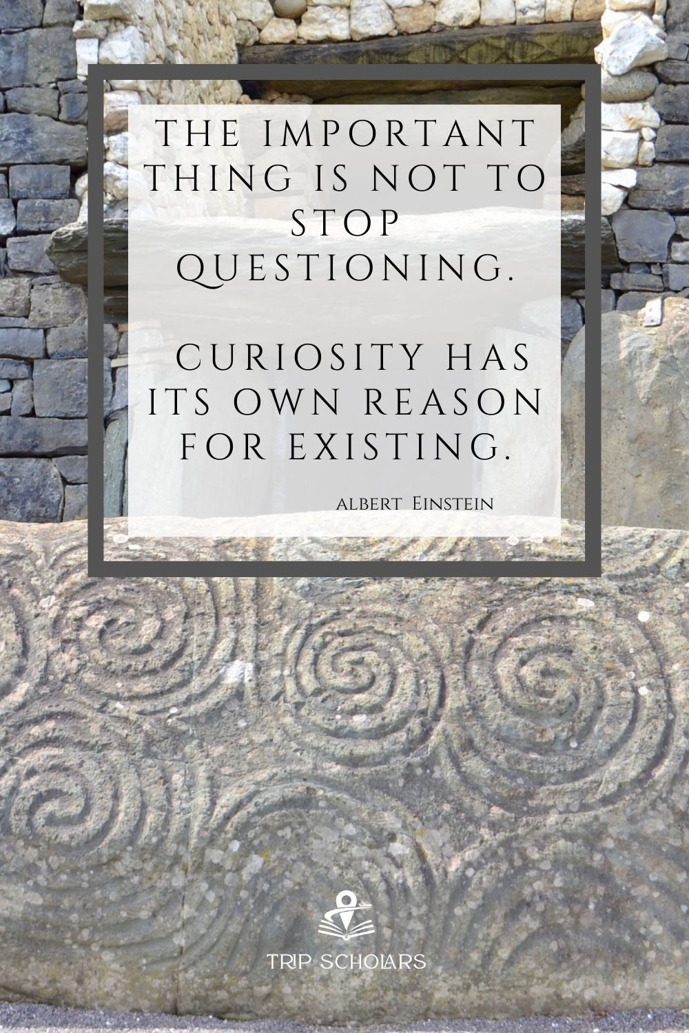 115+ Educational Travel Quotes to Inspire Learning and Traveling the World