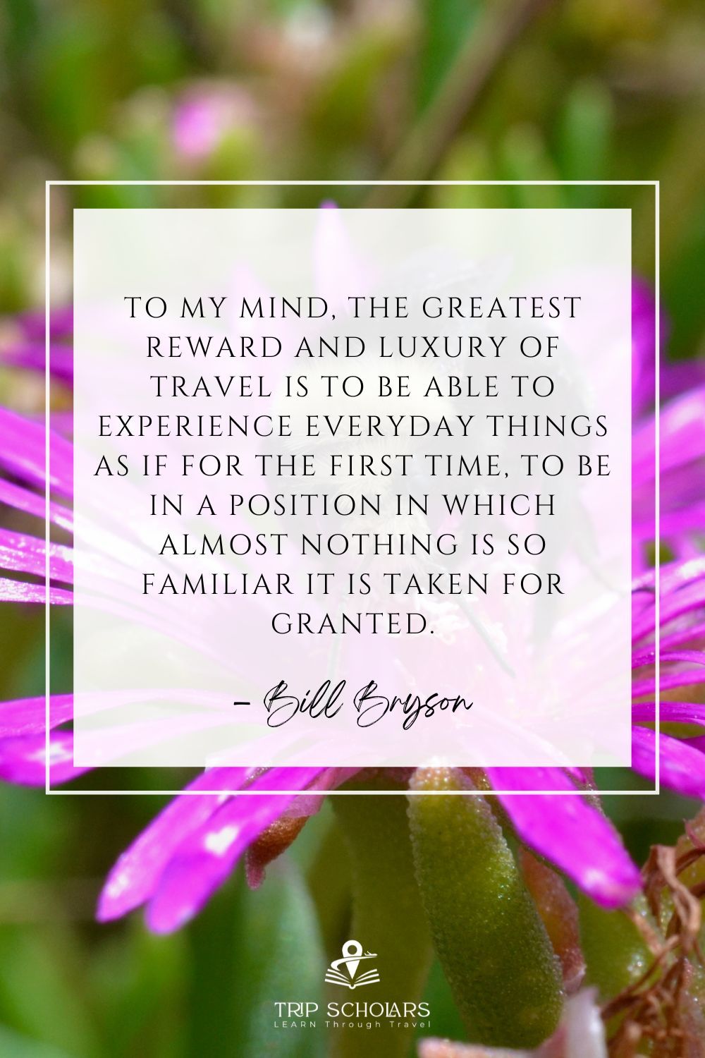 115+ Educational Travel Quotes to Inspire Learning and Traveling the World