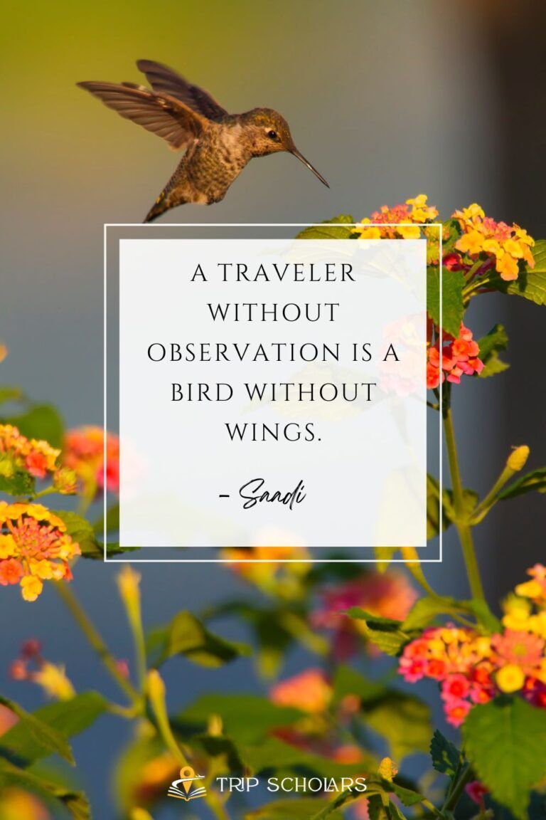 115+ Educational Travel Quotes to Inspire Learning and Traveling the World
