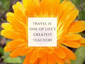 115+ Educational Travel Quotes to Inspire Learning and Traveling the World